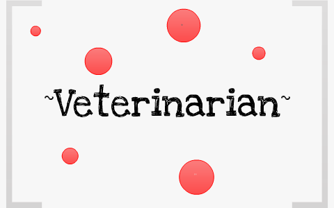 Veterinarian - Stephanie Crompton by Briana LaVine