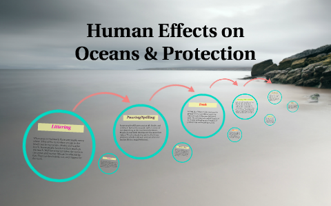 Human Effects on Oceans and Protection by Paige Stalnaker on Prezi
