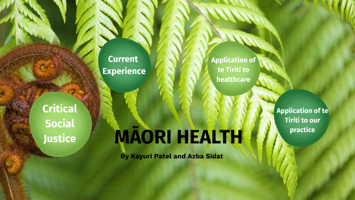 Maori Health Teaching Package by Azba Sidat on Prezi