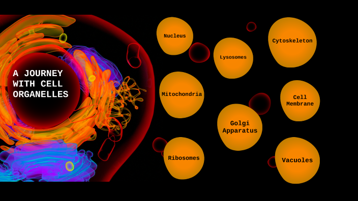 ANIMAL CELL TRAVEL BROCHURE by Allejah Carolino on Prezi