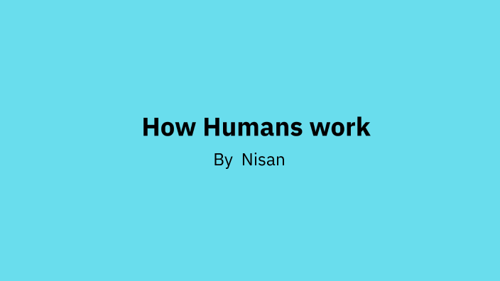 How Humans Work by Nisan Kologlu on Prezi