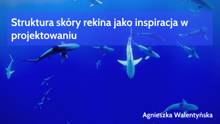 Struktura skóry rekina jako inspiracja w projektowaniu materiałów by ...