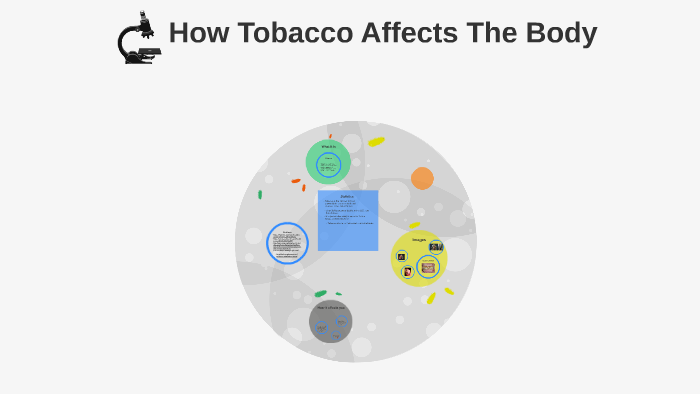 How Tobacco Affects The Body by Cooper Gunter