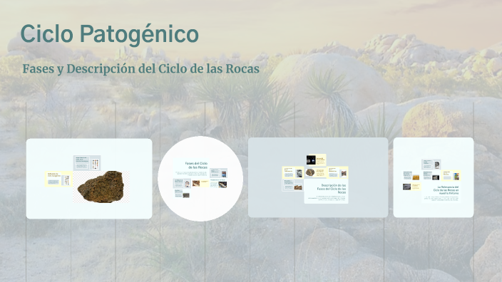 Ciclo Patogénico by Sergio Denis Guarin Gimenez on Prezi