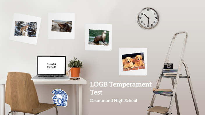 LOGB Temperament Test by Caleb Bowey on Prezi
