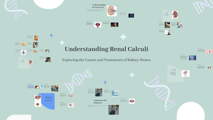 Understanding Renal Calculi by Lynsie Pierce on Prezi