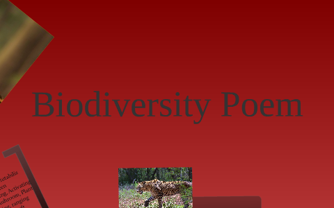 biodiversity poems by Marcuz Evey on Prezi