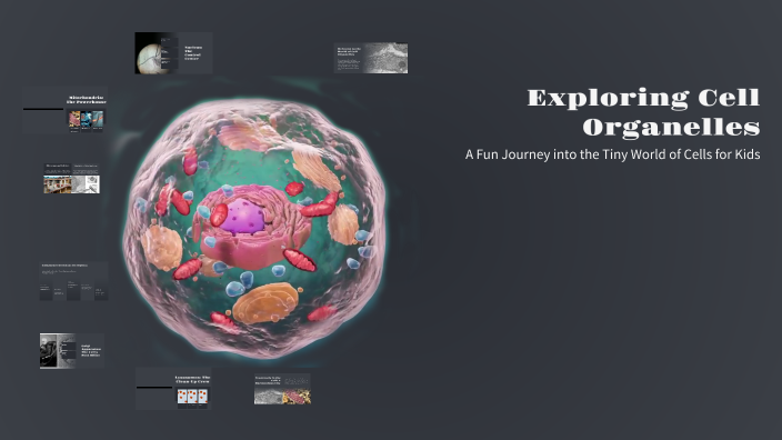 Exploring Cell Organelles by Joseph C on Prezi
