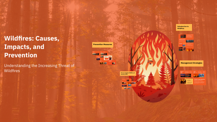 Wildfires: Causes, Impacts, and Prevention by Alfredo Frqnci on Prezi