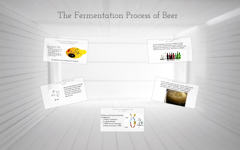 The Fermentation Process of Beer by weston mcdonald on Prezi