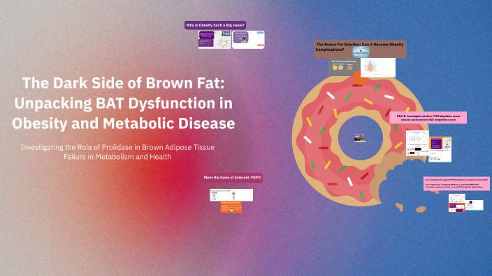 The Dark Side of Brown Fat: Unpacking BAT Dysfunction in Obesity and ...