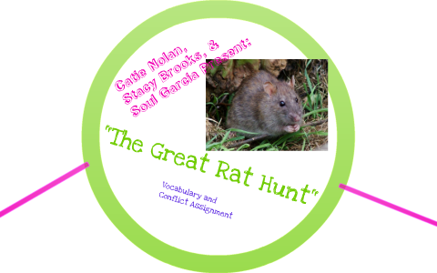 "The Great Rat Hunt" by Catie Nolan on Prezi