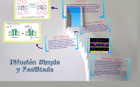 Difusion Simple y Facilitada by Ana Gonzalez on Prezi