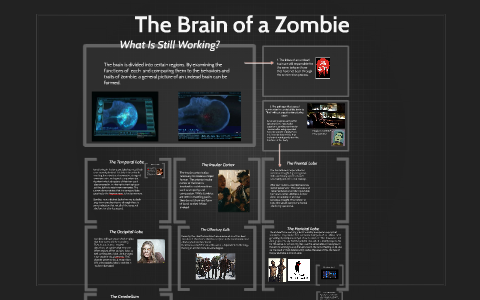 The Brain of a Zombie by Alexis Foley on Prezi