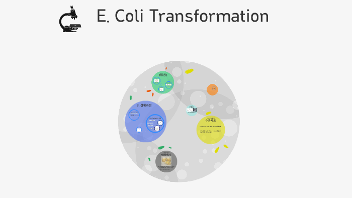 E. Coli Transformation by 소성 이 on Prezi