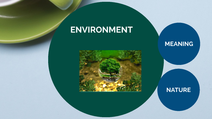 meaning and nature of environment by harjot kaur on Prezi