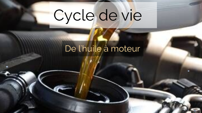 Cycle de vie by Daphnée Dame on Prezi