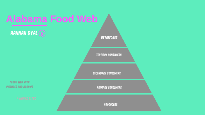 Alabama Food Web by Hannah Dyal on Prezi
