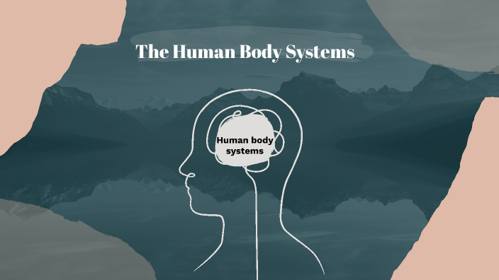 Human body systems by Cayden Guffin on Prezi