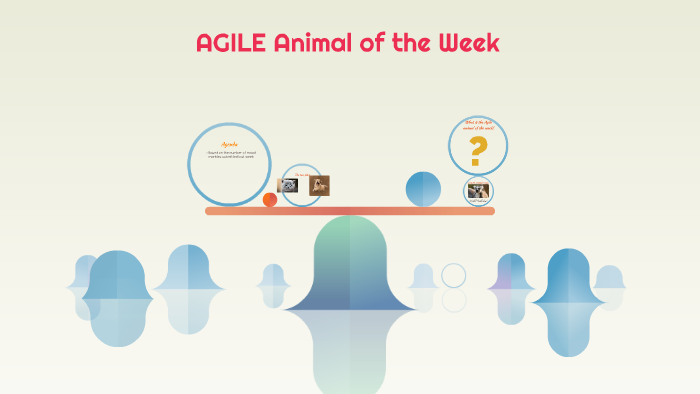 AGILE Animal of the Week by Viktor Keremidchiev