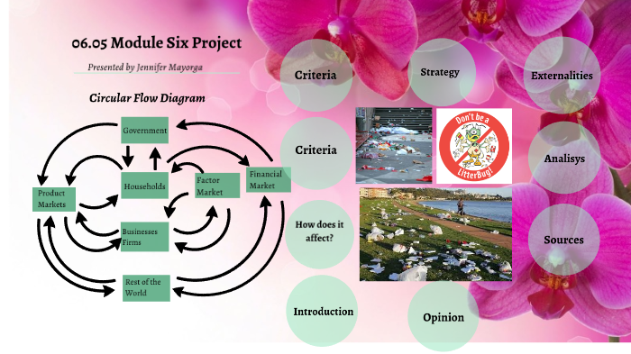06.05 Module Six Project by Jennifer Mayorga on Prezi