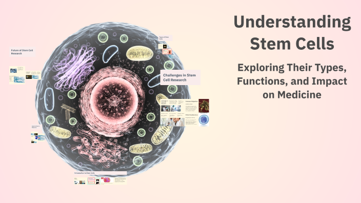 Understanding Stem Cells by Charan on Prezi