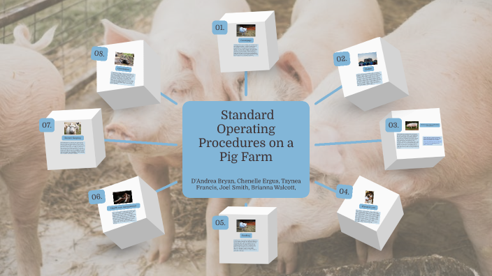 Chronological Sequence of Standard Operating Procedures on a Pig Farm ...