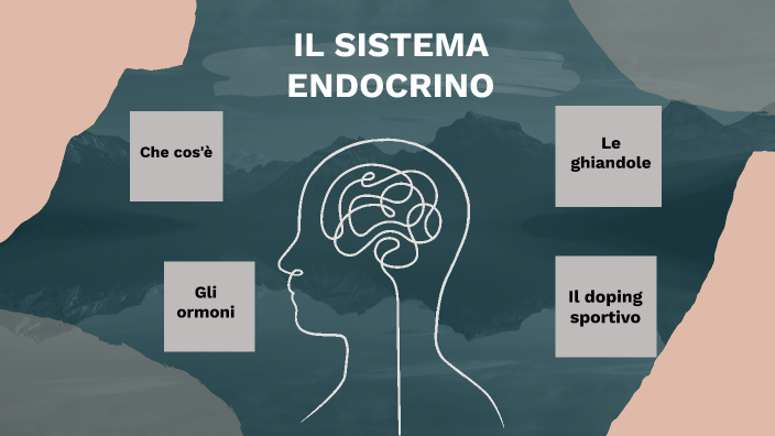 il sistema endocrino by matilde pierotti on Prezi