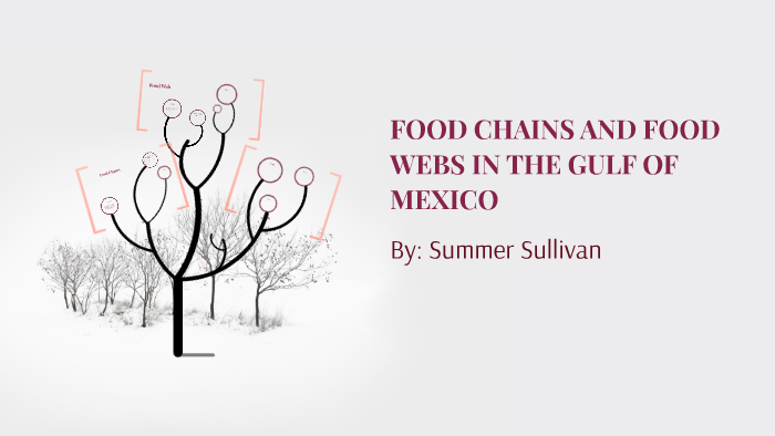 FOOD CHAINS AND FOOD WEBS IN THE GULF OF MEXICO by Summer Sullivan on Prezi