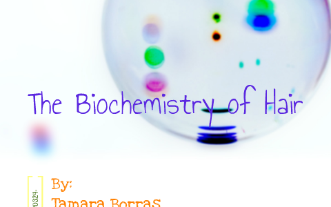 The Biochemistry of Hair by Tamara Borras on Prezi