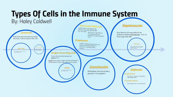 Types of Cells in the Immune System by Haley Caldwell on Prezi