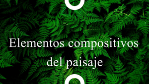 Elementos compositivos del paisaje by Krystel Andrea Gil Hernandez on ...