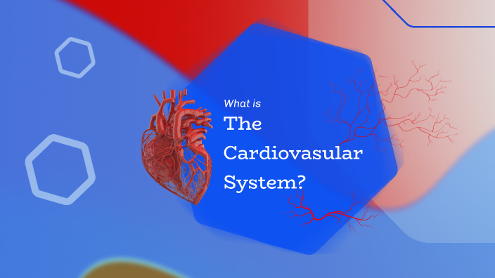 The Cardiovasular System by Dan Lin on Prezi