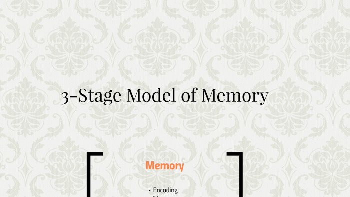 3-Stage Model of Memory by Cameron Davidson on Prezi