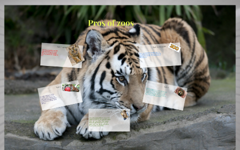 Zoos help endangered species by on Prezi