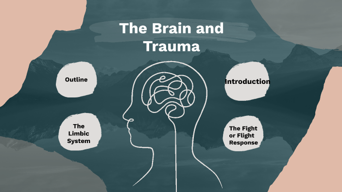 The Brain and Trauma by Alison C on Prezi