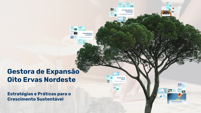 Gestora de Expansão Oito Ervas Nordeste by Márcio Thomaz Jr on Prezi