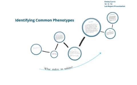 Identifying Common Phenotypes by Emma C on Prezi