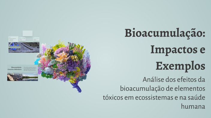 Bioacumulação: Impactos e Exemplos by Vitor Moraes on Prezi