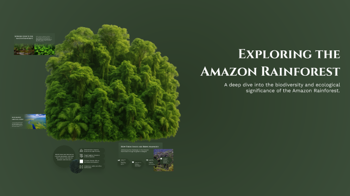 Exploring the Amazon Rainforest by eric tran on Prezi