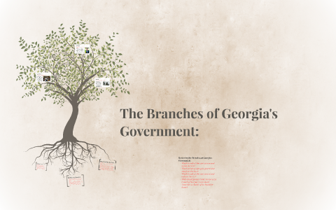 The Branches of Georgia's Government by Evan Anderson on Prezi