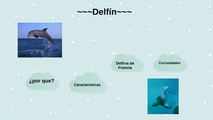 Animal favorito: Delfín by Camila Aguirre Ramos on Prezi