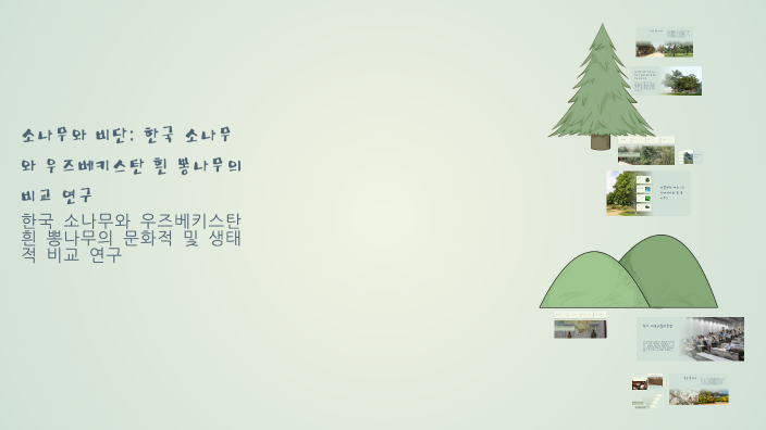 소나무와 비단: 한국 소나무와 우즈베키스탄 흰 뽕나무의 비교 연구 by 0 0 on Prezi