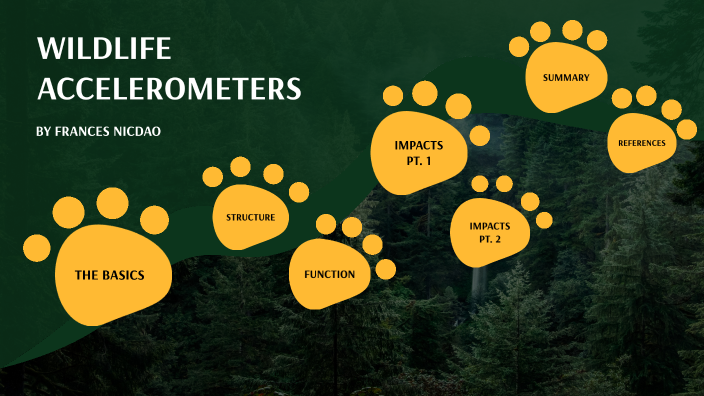 Wildlife Accelerometer by Frances N on Prezi