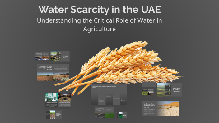 Water Scarcity in the UAE by H A on Prezi
