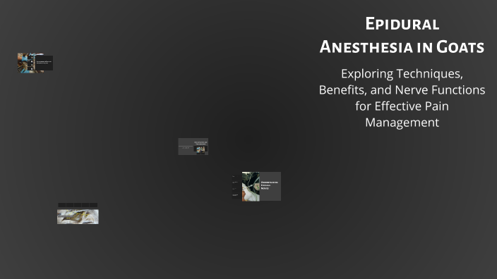 Epidural Anesthesia in Goats by Shital Gaikwad on Prezi
