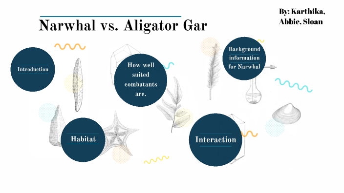 Sloan Lister, Abbie Southwell, Karthika. K Narwhal vs. Alligator Gar by ...