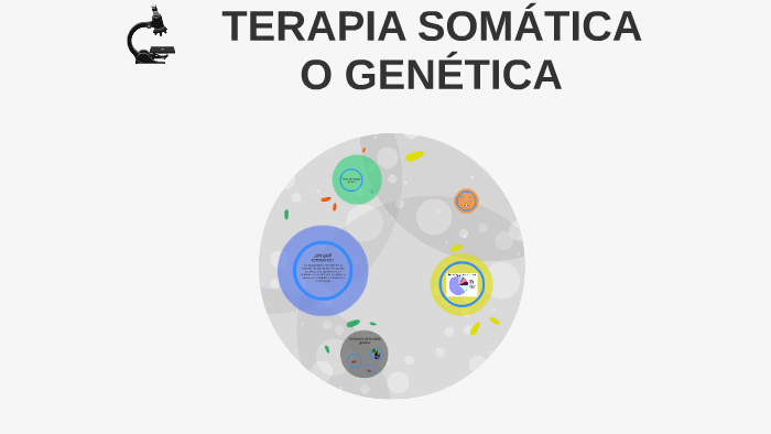 Diagrama De Terapia Génica Somática
