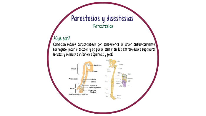 Parestesias y disestesias by Amanda Valeria Domínguez Blanquet on Prezi