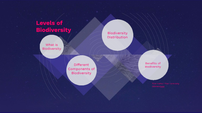 Levels of Biodiversity by Jordyn Reid on Prezi